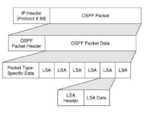 OSPF Flooding Reduction